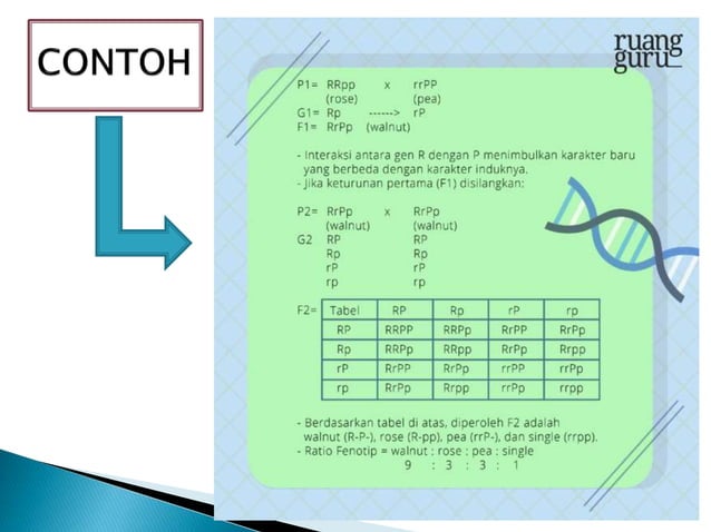 10. INTERAKSI ANTAR GEN.pptx