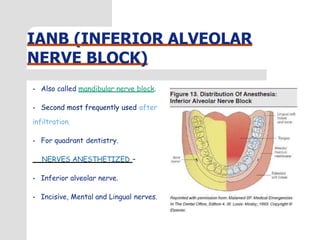 10. mandibular anesthesia.pptx