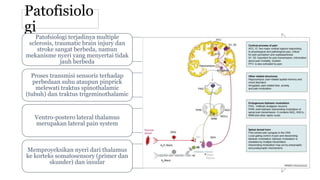 10. Central Post Stroke Pain.pptx