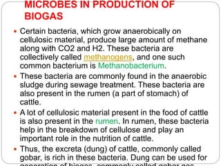 Microbes in Human Welfare notes | PPTX