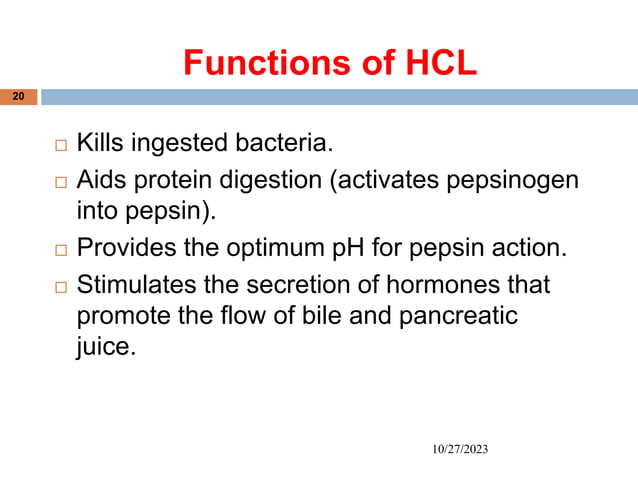 10.GIT physiology (1).ppt