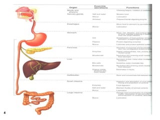 10.GIT physiology (1).ppt