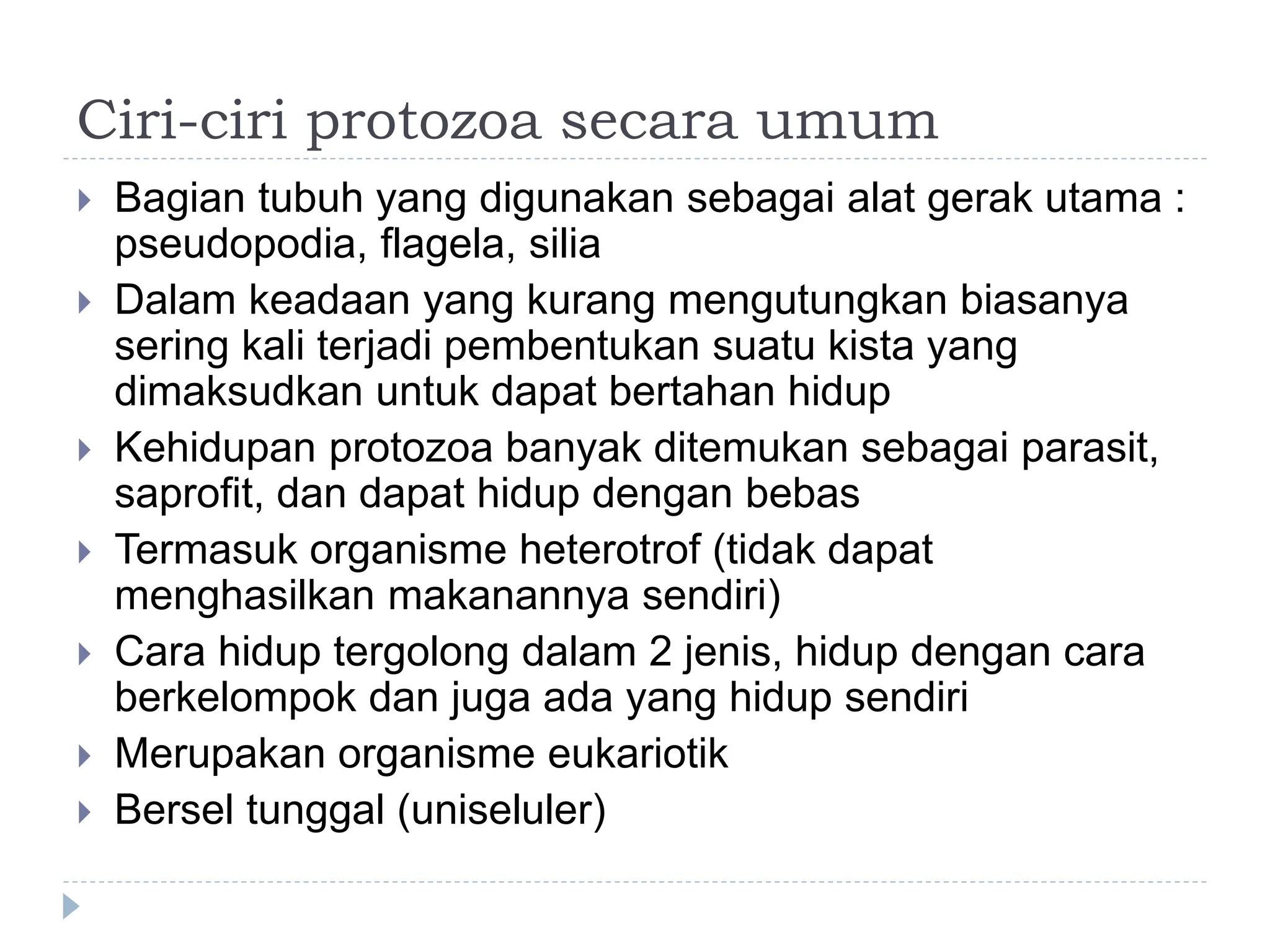 10. PROTOZOA.pptx