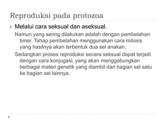 10. PROTOZOA.pptx