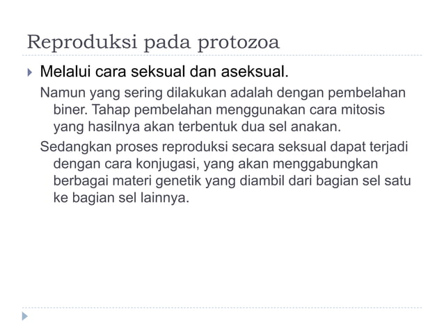 10. PROTOZOA.pptx