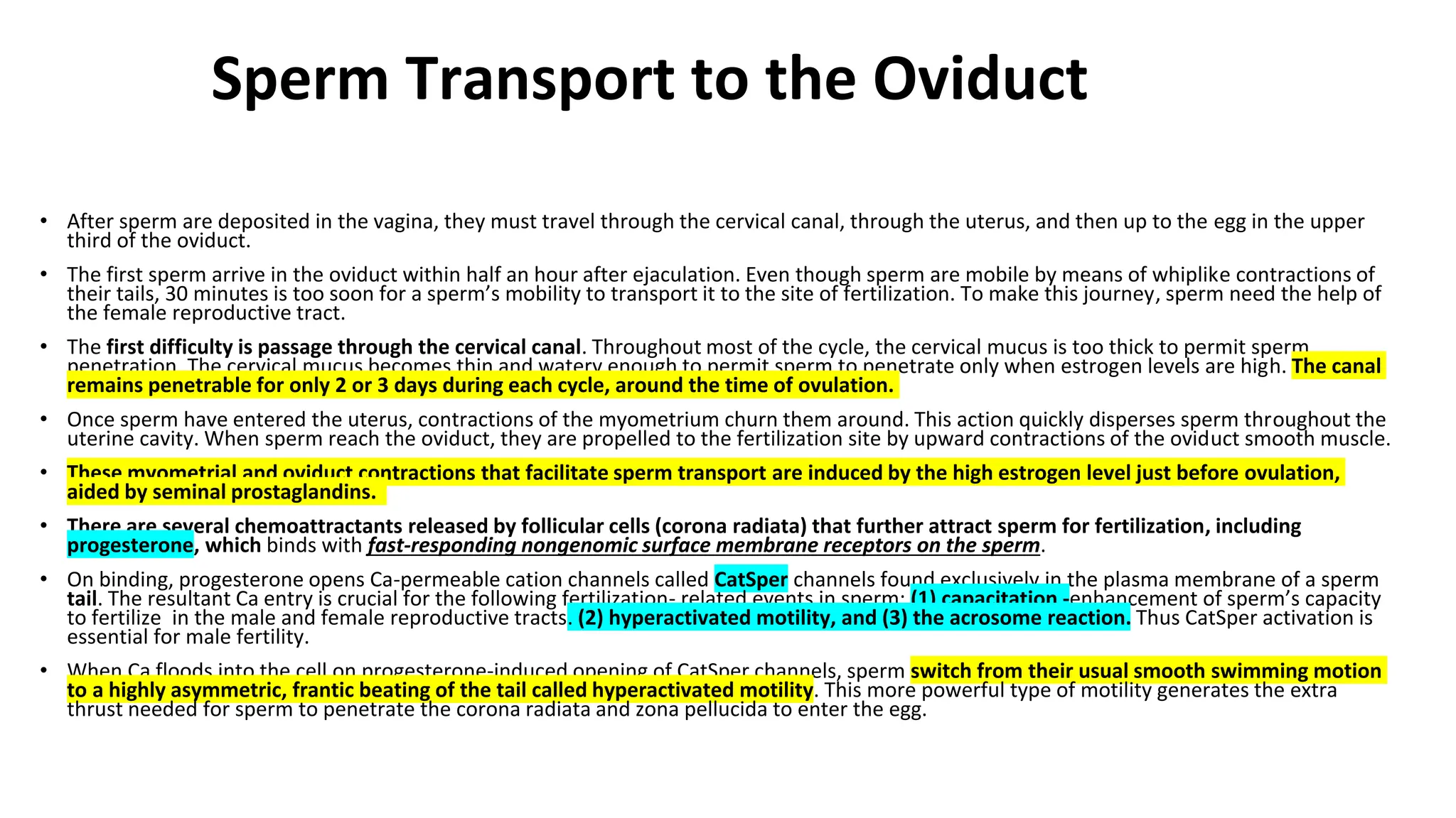 10. Fertilization , Pregnancy, Parturition.pptx