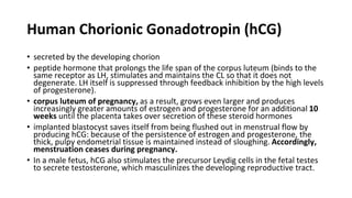 10. Fertilization , Pregnancy, Parturition.pptx