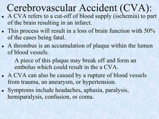 10.-Nervous-System.pdf