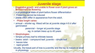 10. Juvenility and characteristics of juvenility | PPTX