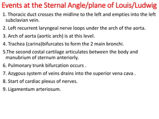 10. ANATOMY OF THE MEDIASTINUM MATERIAL.pptx | Death, Injury, or ...