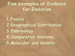 10. Evidence of Evolution.pptx Fossils, comparative | PPTX