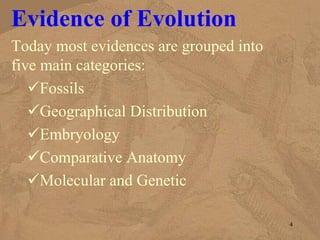 10. Evidence of Evolution.pptx Fossils, comparative | PPT