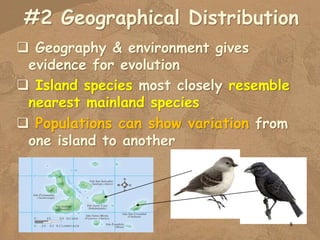 10. Evidence of Evolution.pptx Fossils, comparative | PPT