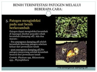 teknologi produksi benih - PENYAKIT BENIH | PPT