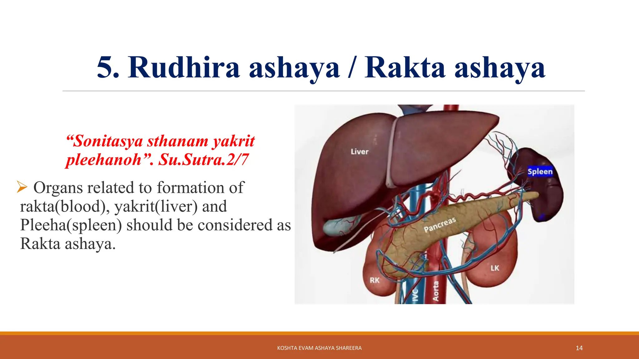 KOSHTA ASHAYA SHAREERA BY DR AJITH KUMAR | PPTX
