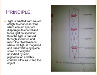 Microscope history types principles.pptx
