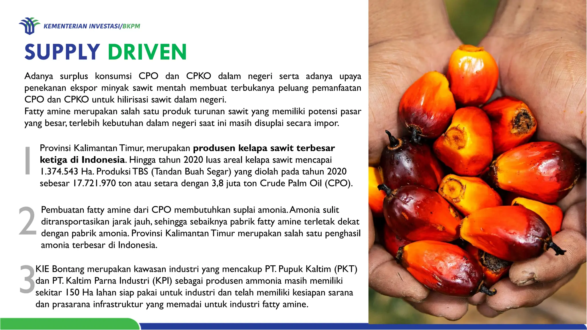 10.Bahan Paparan TA_FGD_060923_Manufaktur_Oleokimia.pdf