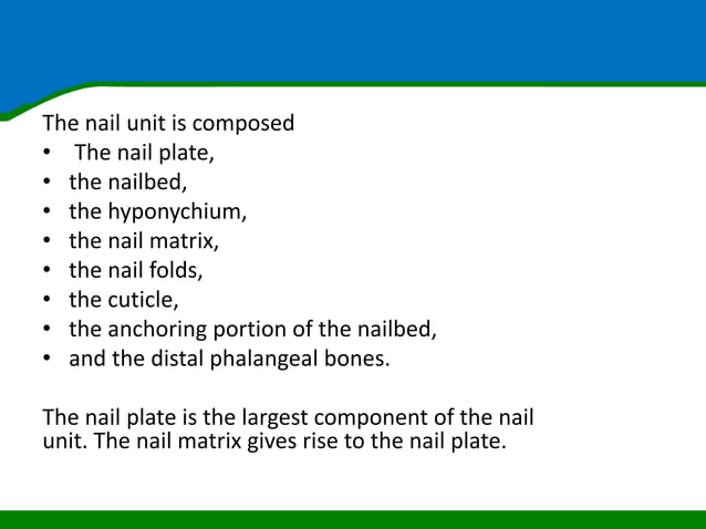 10. nail abnormalities.pptx Dermatolohgy | PPTX | Nail Care | Beauty