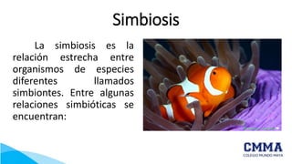 explicación de simbiosis y sus tipos en ecología | PPTX