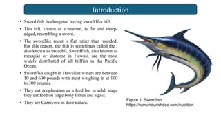 Sword Fish Introduction, Explaination.... | PPT