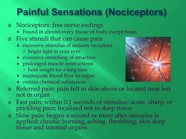 sensory receptor types and function ppt | PPTX