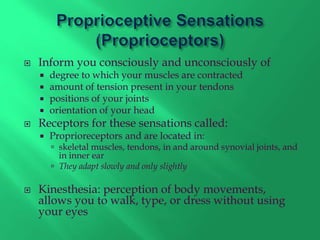 sensory receptor types and function ppt | PPTX
