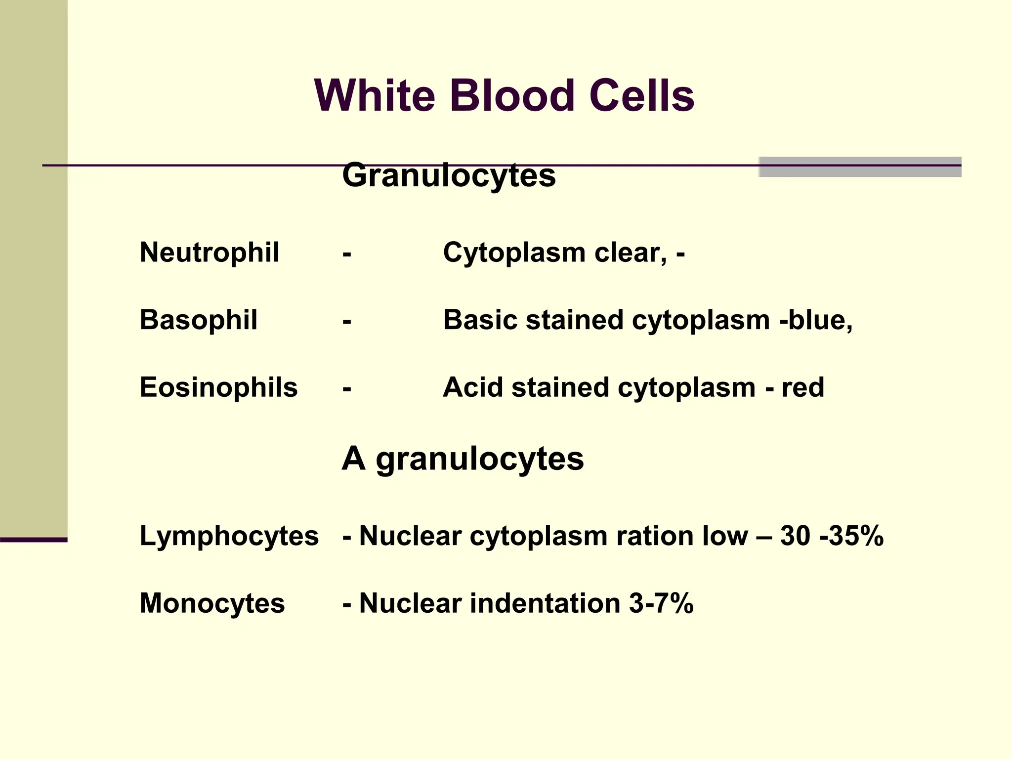 10. OVERVIEW OF WHITE BLOOD CELLS.scsppt | PPT
