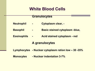 10. OVERVIEW OF WHITE BLOOD CELLS.scsppt | PPT