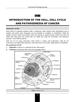 Hand Book of Oncology Nursing - Cancer Nursing Book | PDF