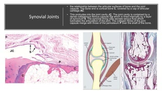 10. bone histology and ossification .pptx