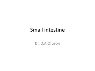 10. SMALL INTESTINE: A brief description of the anatomy of the GIT | PPT