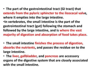 10. SMALL INTESTINE: A brief description of the anatomy of the GIT | PPT