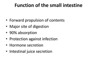 10. SMALL INTESTINE: A brief description of the anatomy of the GIT | PPT