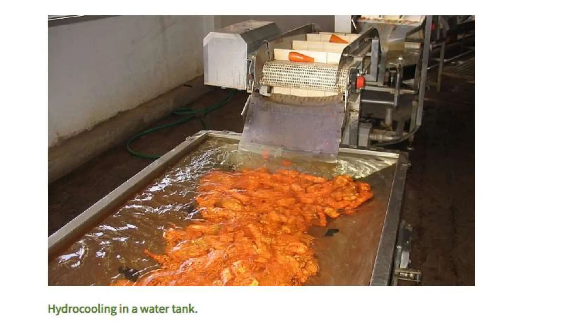 10. Pre-cooling and treatment of horticultural produce.pptx