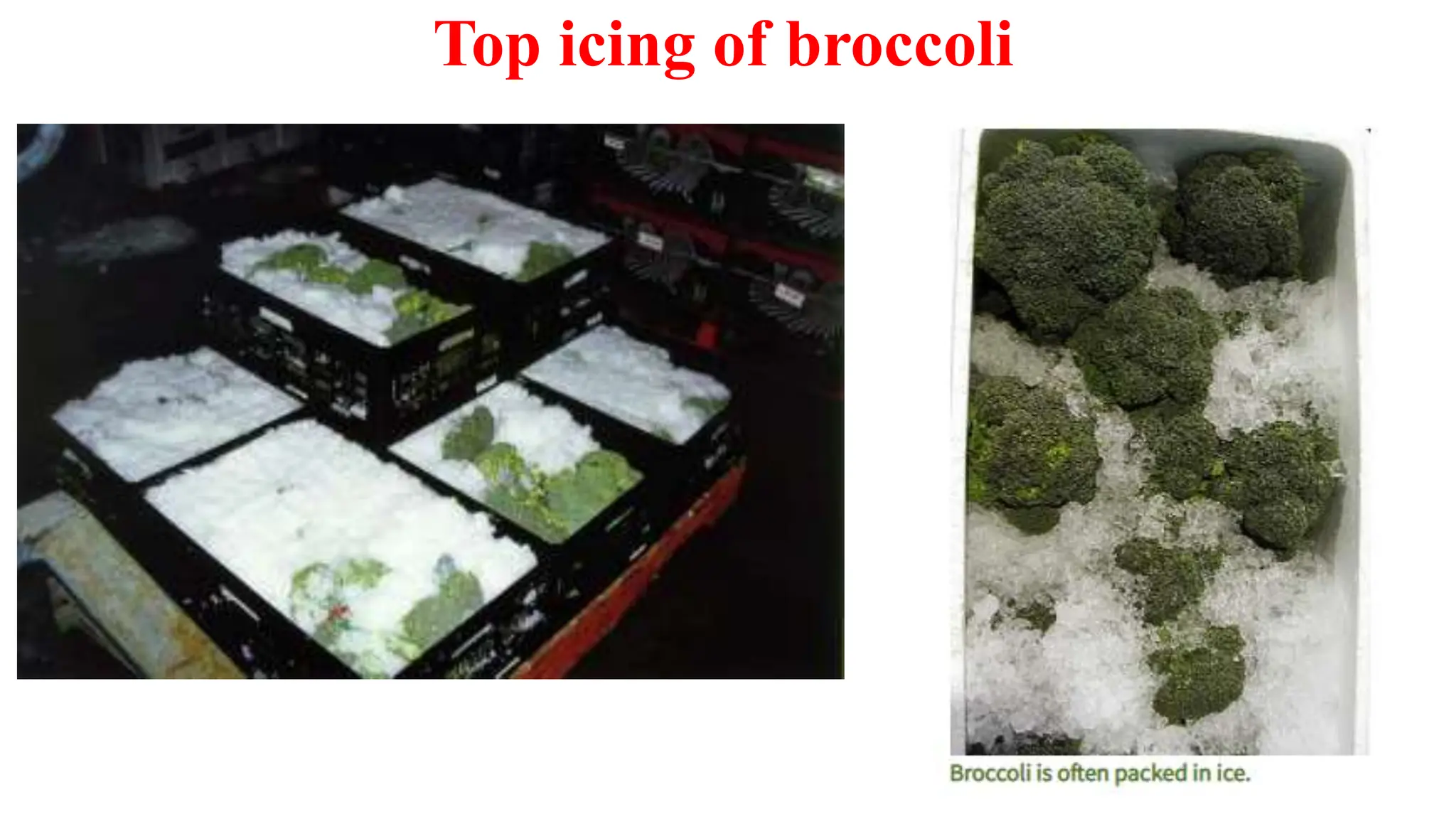10. Pre-cooling and treatment of horticultural produce.pptx