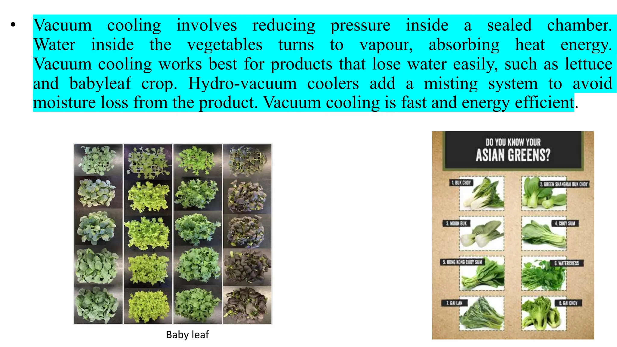 10. Pre-cooling and treatment of horticultural produce.pptx