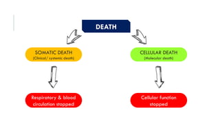 10. Thanatology dental forensic dept.pptx