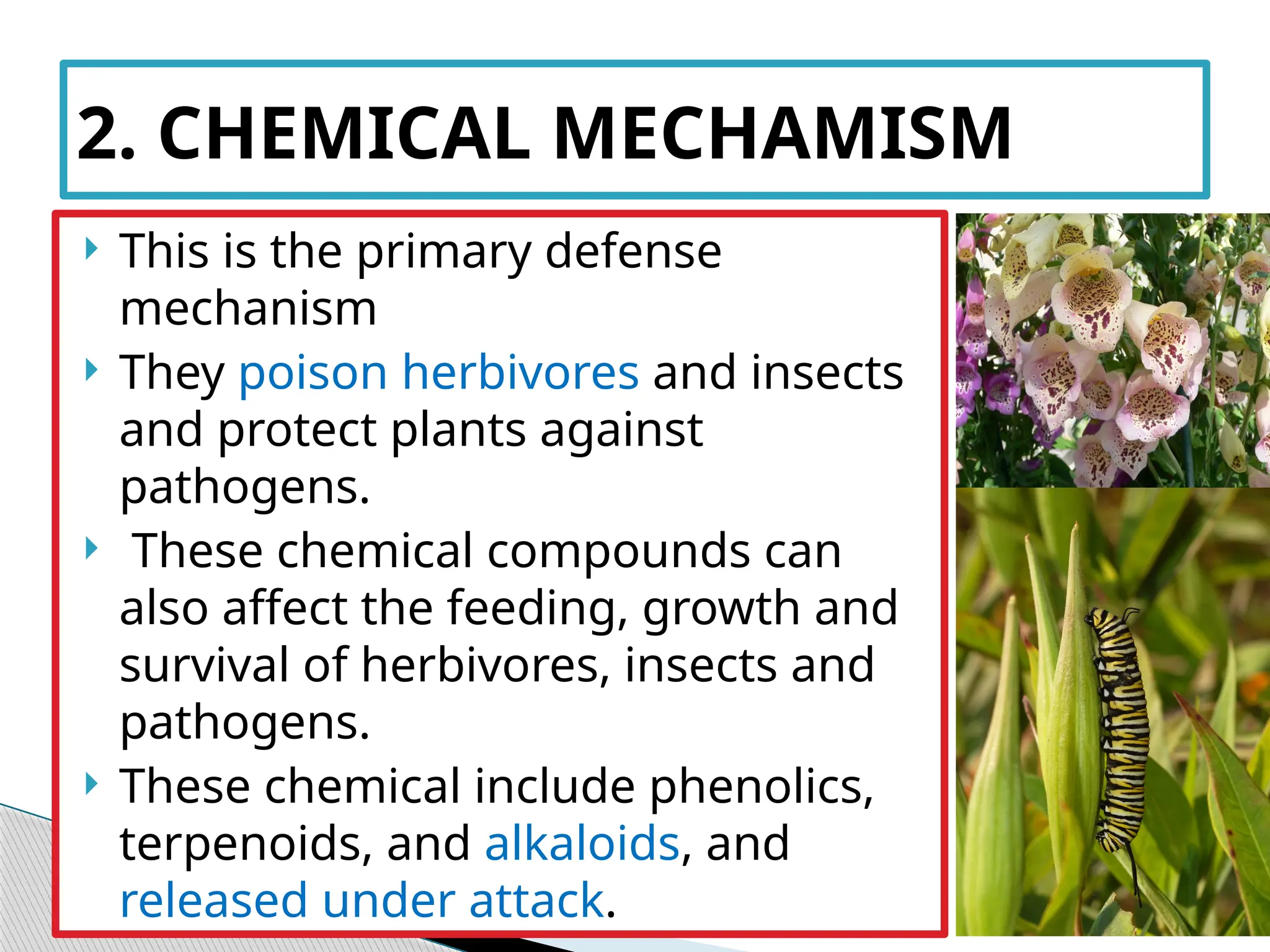 Plant Response to Environment. Grade 12. | PPSX