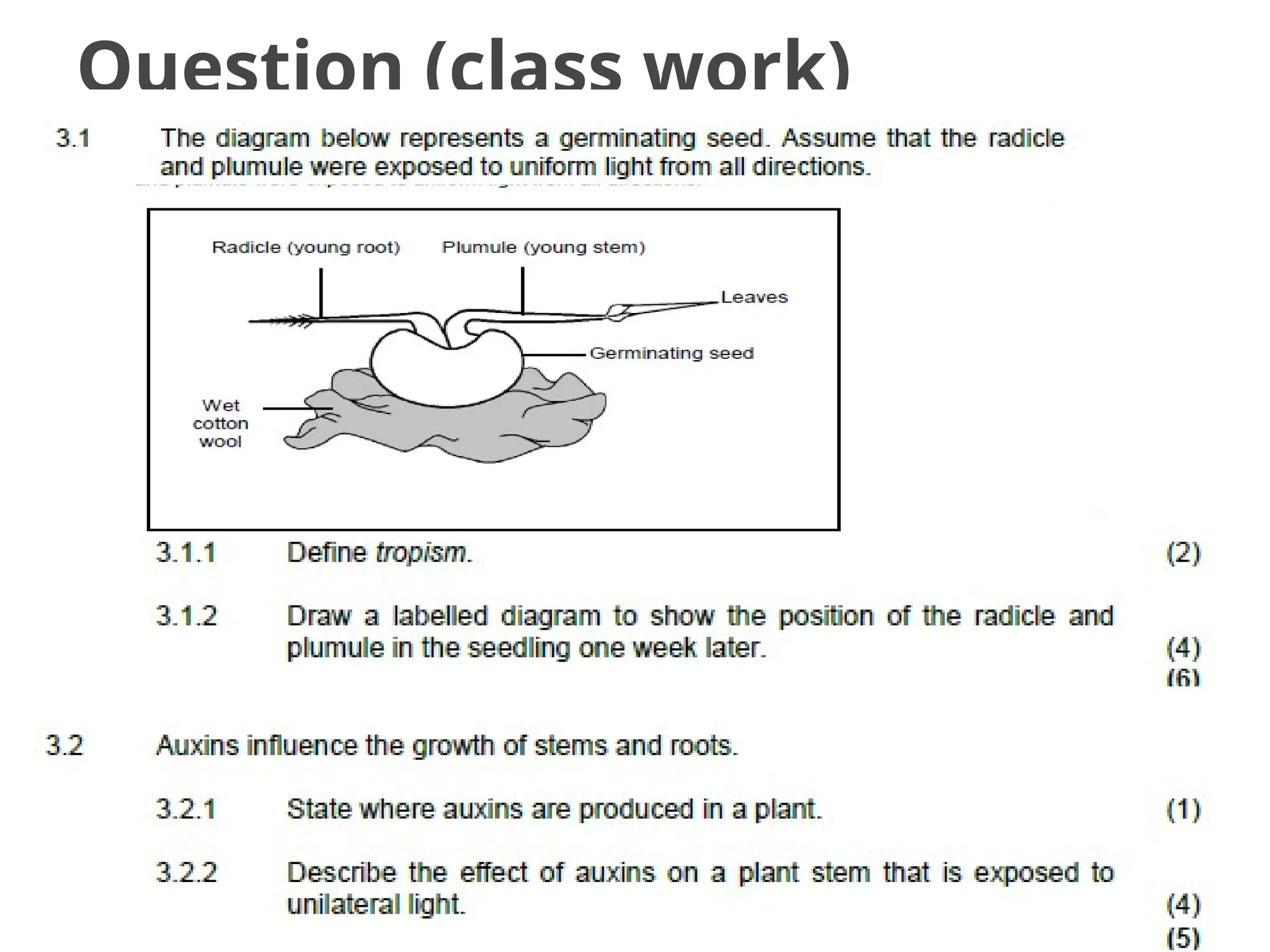 Plant Response to Environment. Grade 12. | PPSX