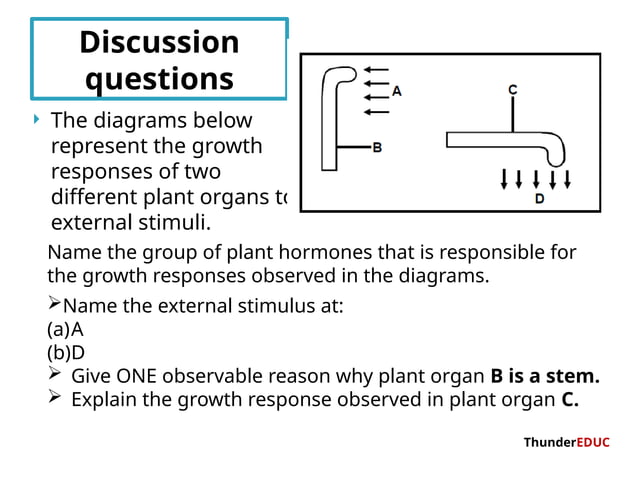 Plant Response to Environment. Grade 12. | PPSX | Endocrine and ...