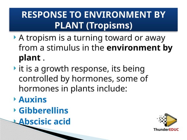 Plant Response to Environment. Grade 12. | PPSX | Endocrine and ...