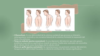 10. Torax anterior, habitus y exploración | PDF