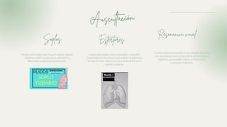 10. Torax anterior, habitus y exploración | PDF