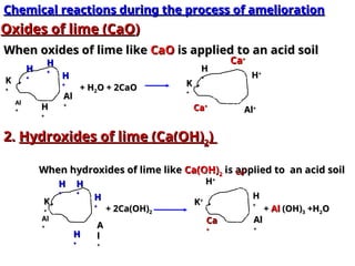 10. lime requirement soil science prese | PPT