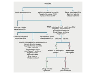 Vasculitis and Lungs and its pathophysiology | PDF