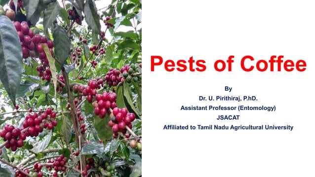 Pests of Coffee_Identification_IPM_Dr.UPR.pdf