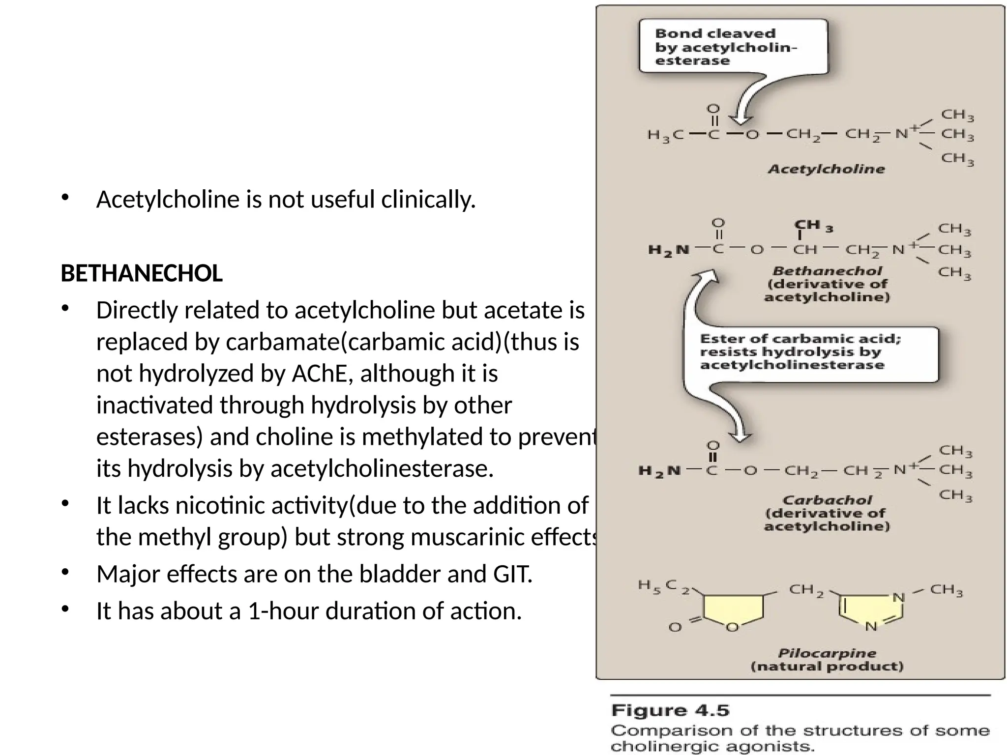10. CHOLINERGIC PHARMACOLOGY.pptx classes of drugs examples, mechanism ...