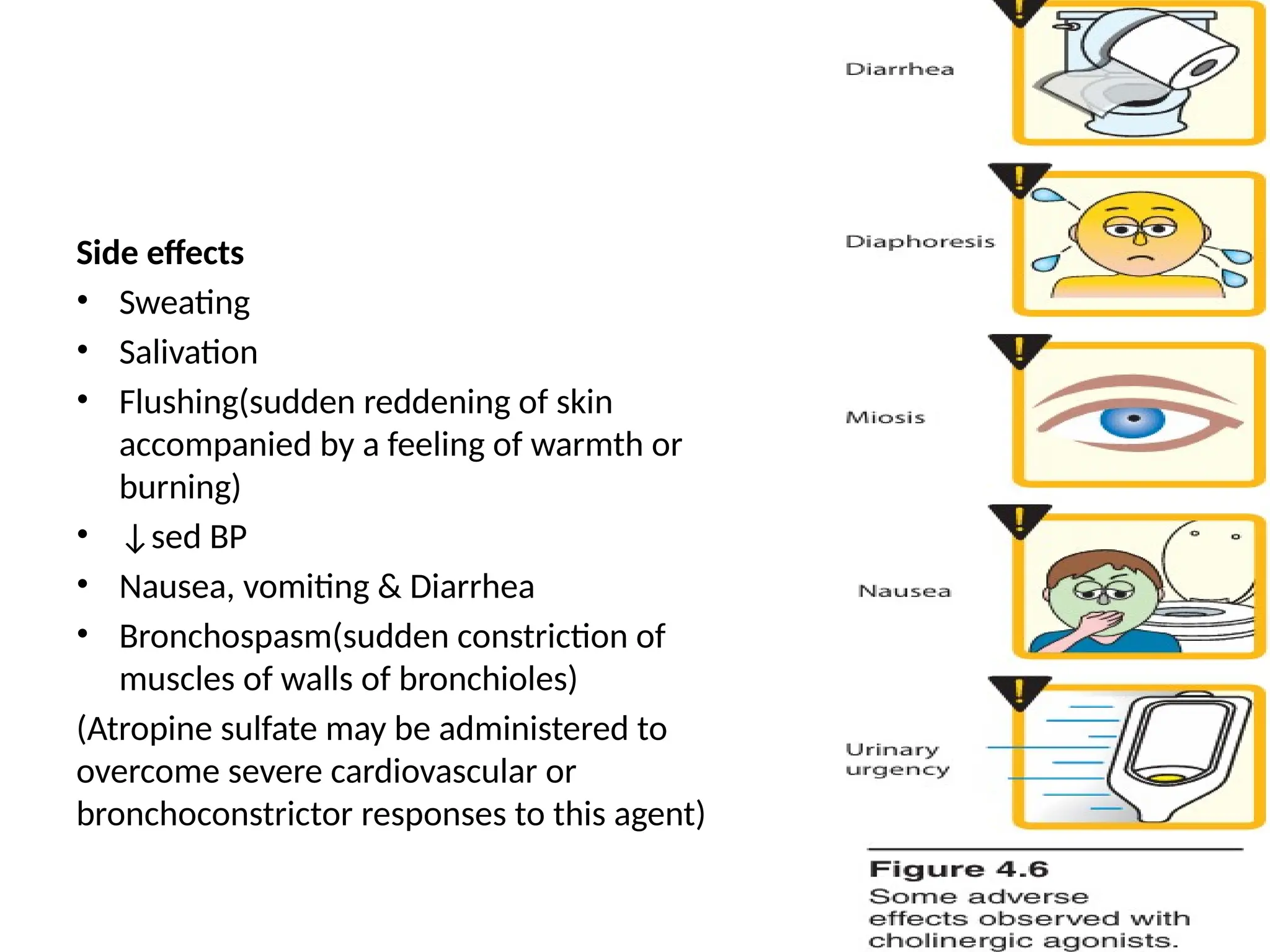 10. CHOLINERGIC PHARMACOLOGY.pptx classes of drugs examples, mechanism ...