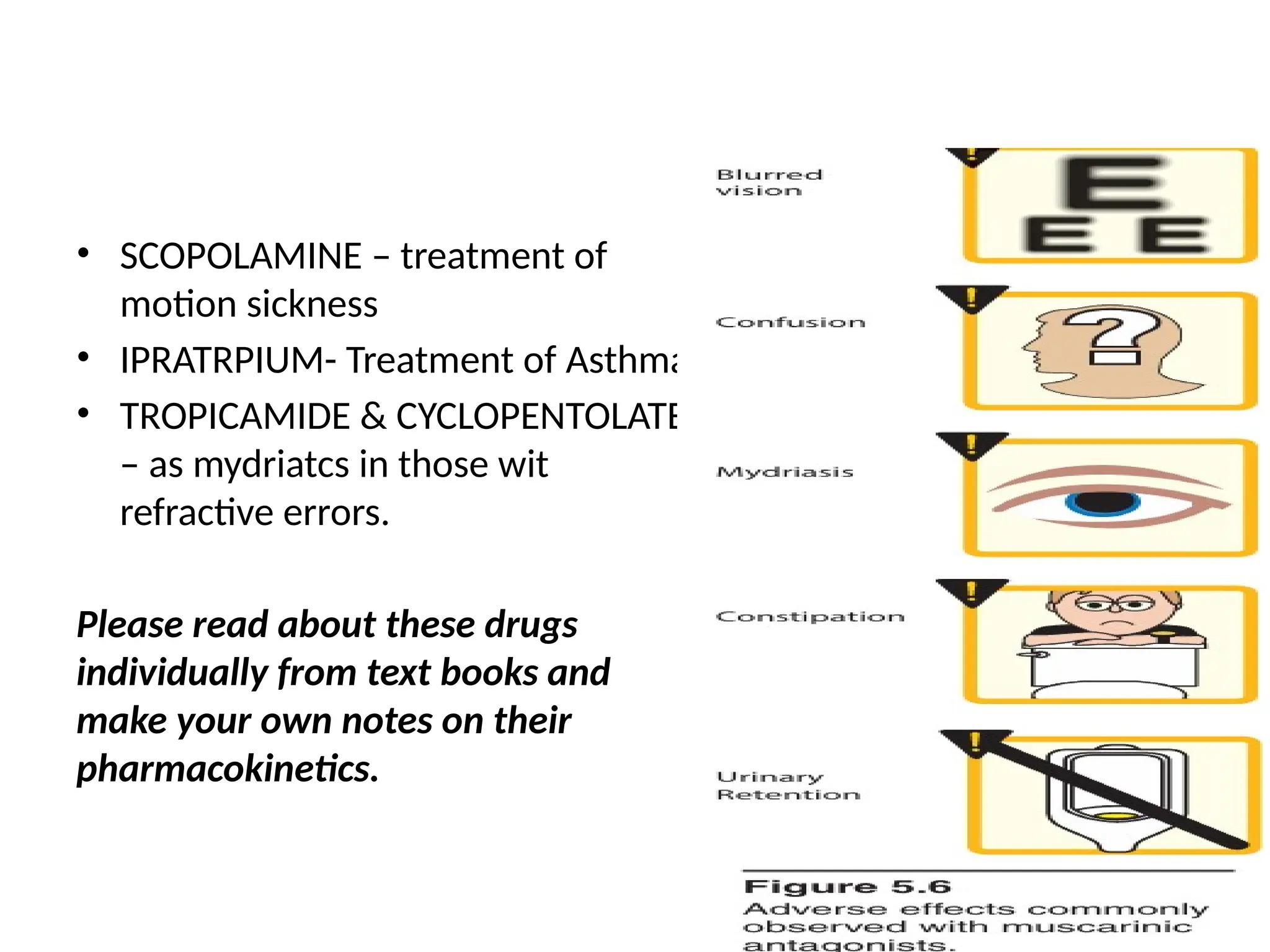 10. CHOLINERGIC PHARMACOLOGY.pptx classes of drugs examples, mechanism ...