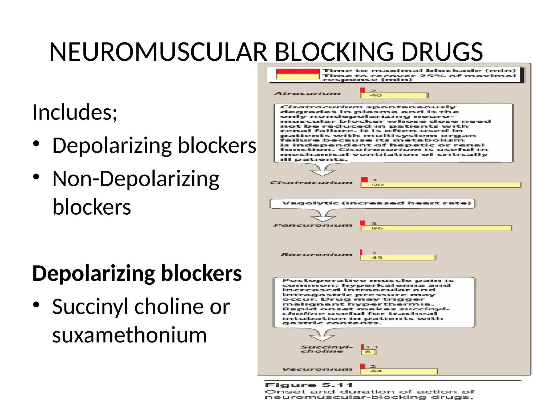 10. CHOLINERGIC PHARMACOLOGY.pptx classes of drugs examples, mechanism ...